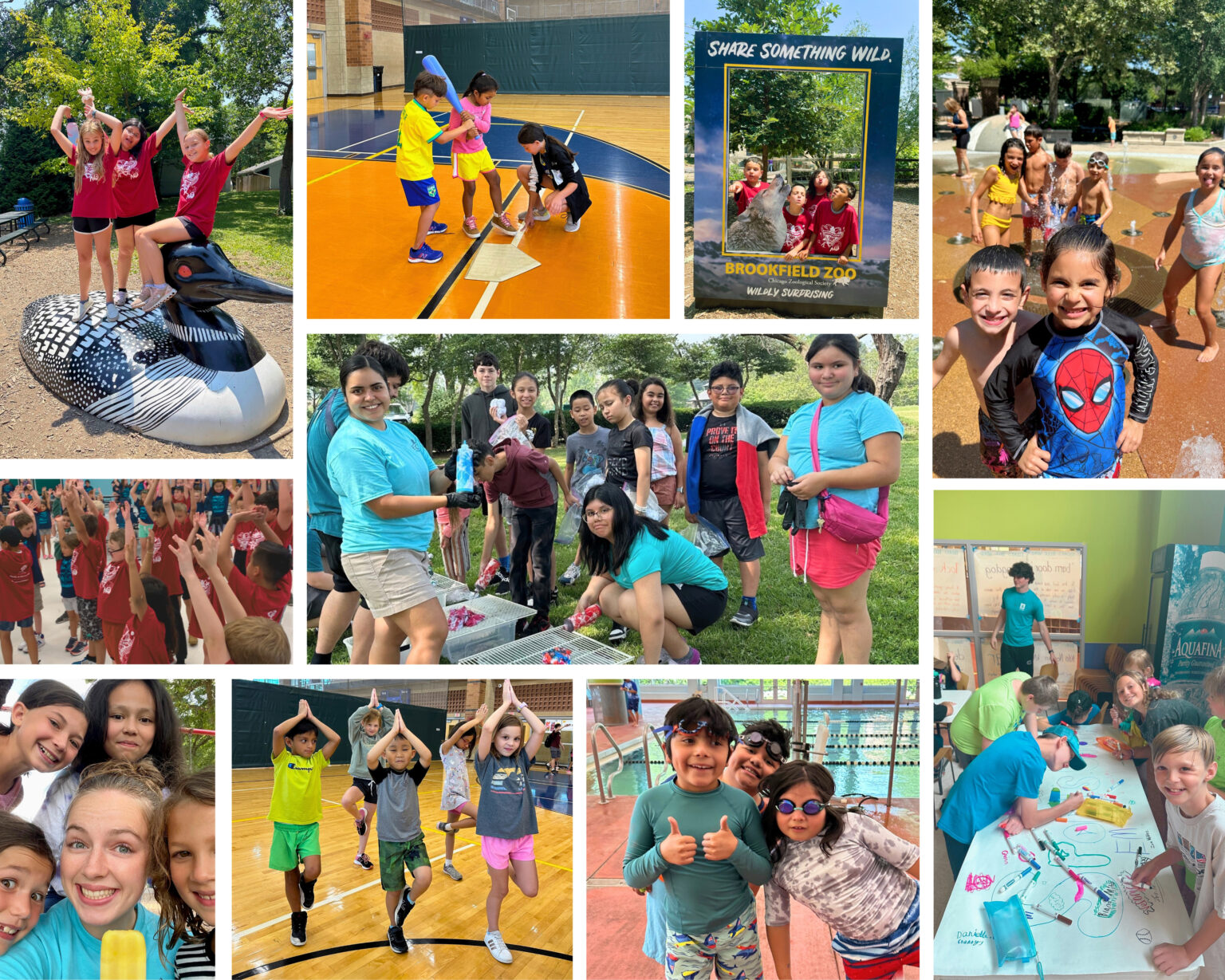 Summer Camps/Programs